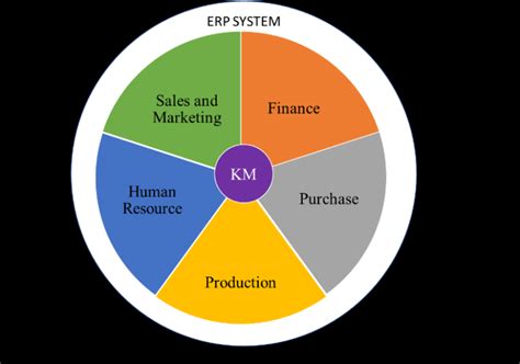 ERP System Lin Et Al Download Scientific Diagram