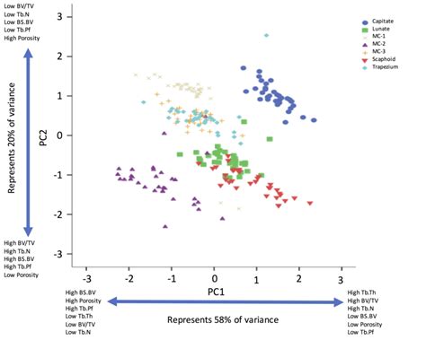 Variables Correlations On Principal Component Analysis Pca On Pc1 Download Scientific Diagram