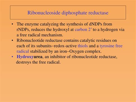 Ppt Nucleotide Metabolism Powerpoint Presentation Free Download Id