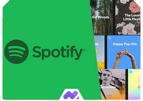 آموزش اسپاتیفای مجازیته