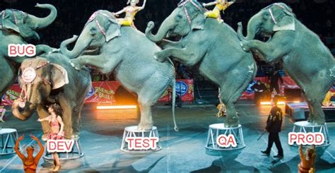 adventures in axapta world ax world elephants