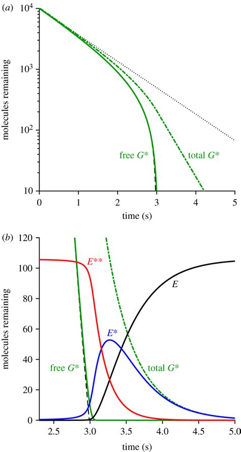 Numerical Solution Of The Set Of Differential Equations For The