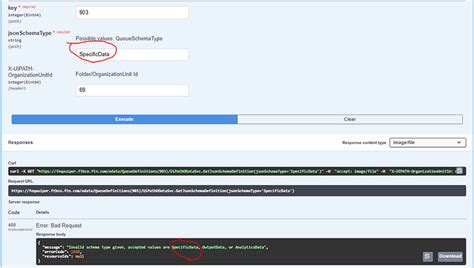 Orchestrator API Specific Data Schema Shows Null Even Though The Queue Has One Orchestrator