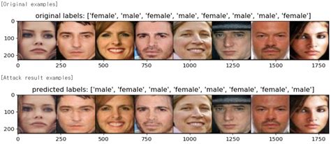 Github Ndb796decision Based Attacks Pytorch Decision Based Attacks Pytorch Implementations