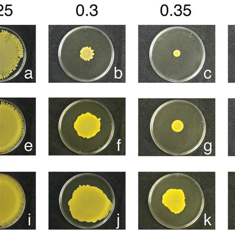 Pdf Modulation Of Staphylococcus Aureus Spreading By Water
