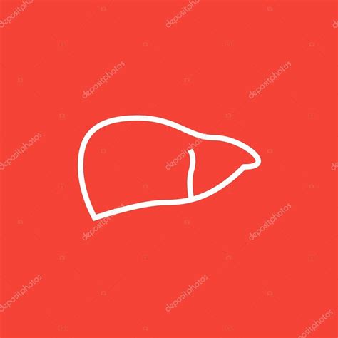 Liver Line Icon Stock Vector By ©visualgeneration 106134694