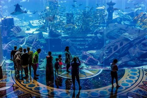13 Of The Worlds Most Amazing Aquariums