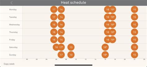 Thermostat Settings R Nest