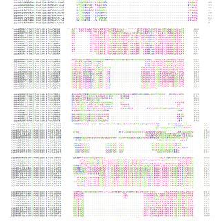 Multiple Sequence Alignment Download Scientific Diagram