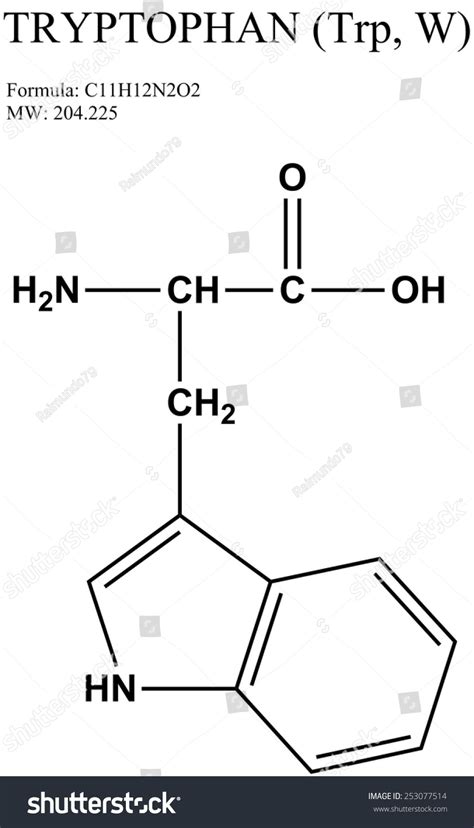 Tryptophan Amino Acid