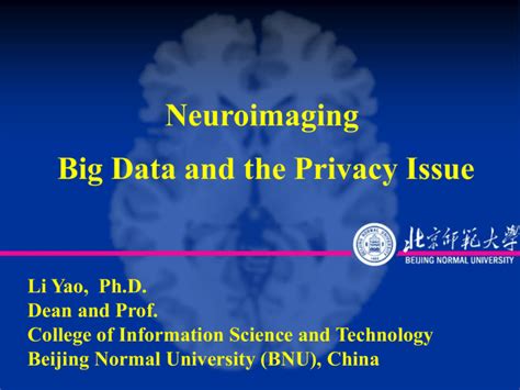 neuroimaging big data and privacy issues