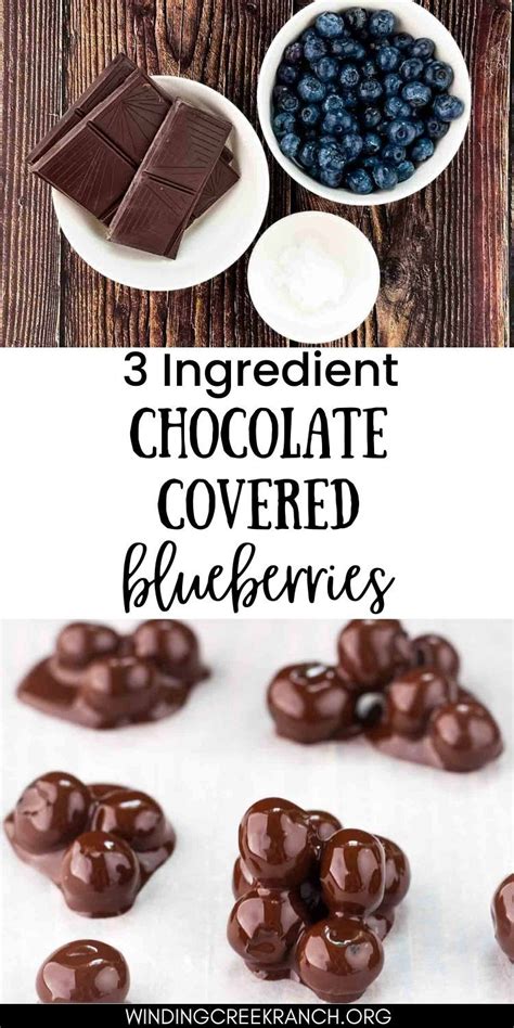 3 Ingredient Chocolate Covered Blueberries Chocolate Covered