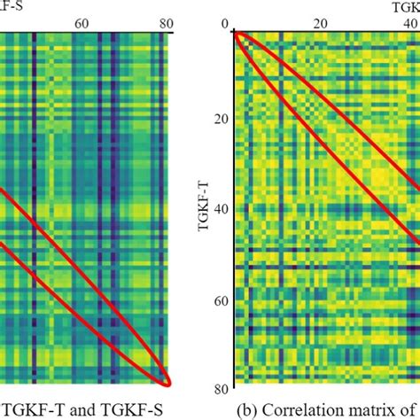 The Visualization Results Of The Correlation Matrix A We Calculate