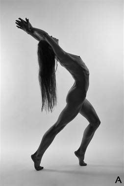 Model Society Galleries