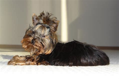 Memek Free Photo Download Freeimages