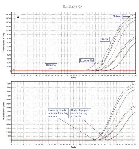 Pcr Buffer Composition And Function Pdf