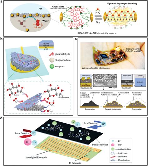 Ultrathin Soft Sensors For Monitoring Chemical Signals A Illustration Download Scientific