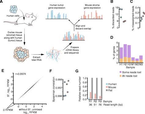 Species Specific Sequencing—separation Of Mouse And Human Download
