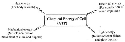 Laws Of Thermodynamics SCIENCE S World