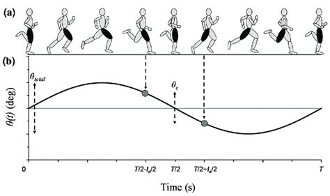 What Is Angular Motion In Sport At Ryder Sidaway Blog