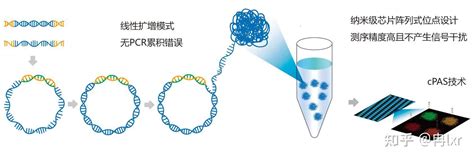 Geneseq 200基因测序仪 知乎