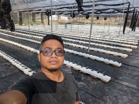 Ts Muhammad Shafiq Saari On Linkedin The First Greenhouse Already