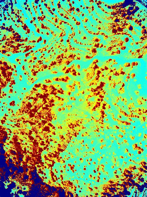 Muonray Drone Based Vegetation Index Using Custom Near Infrared Nir Filters
