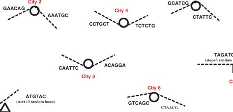 Coding For The Seven Cities Of The HPP Problem Download Scientific Diagram