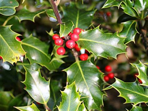 Easy And Effective Decorating Ideas Canadian Military Family Magazine