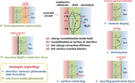 Schematics Of Improvement Strategies Regarding Engineering Of Two Types Download Scientific
