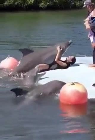 Dolphin Having Sex With Pretty Woman Vids Com