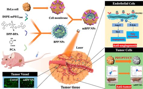 Dual Targeting Biomimetic Nanomaterials For Photo Chemo