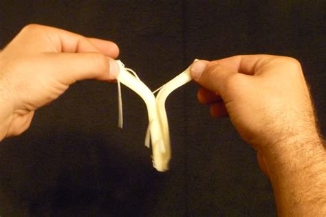 Drjunkfood The String Cheese Incident