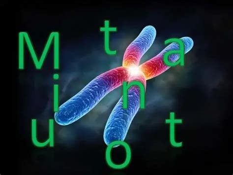 The Deep Neural Network System Rapidly Scans The Genome Of Cancer Cells