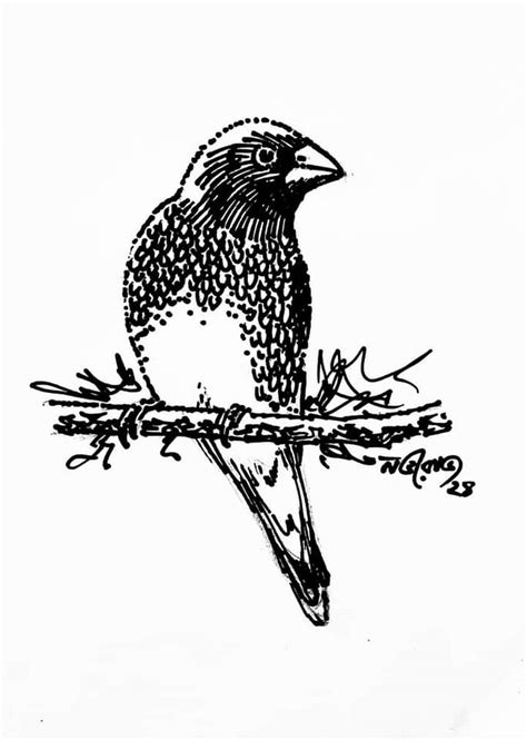 নওরোজ আর্ট ঘর ক্ষেতলাল জয়পুরহাট