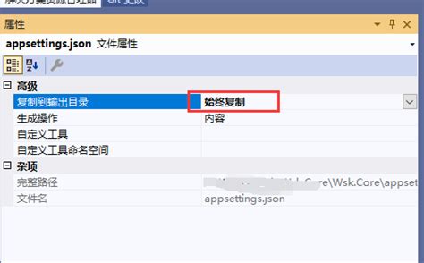 八 net core NET 配置读取appsettings文件内容的通用功能 CSDN博客