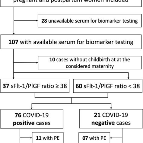 Flowchart Of The Study Included Cases And Cases Grouping Download Scientific Diagram