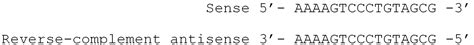 Hands On Clean And Manage Sanger Sequences From Raw Files To Aligned