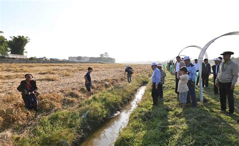 ကချင်ပြည်နယ်ဝန်ကြီးချုပ် ဗလမင်းထင်စံပြစိုက်ကွင်းအတွင်း မိုးစပါးရိတ်သိမ