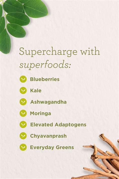Your Guide To Ayurvedic Superfoods Ayurvedic Herbs Superfoods