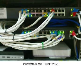 Network Switch Ethernet Cables Stock Photo 1121424194 Shutterstock