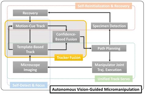 Role Of The Hybrid Tracking For Fusing Motion Cue And Template Based