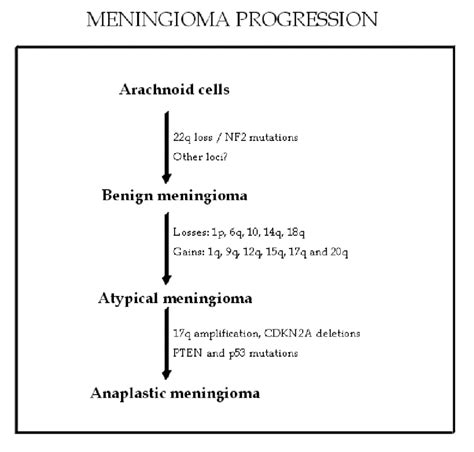 Molecular Alterations Associated With Tumor Progression In Meningiomas