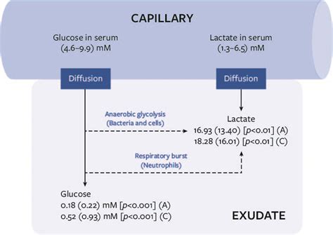 Comparison Between Numeric Parameters From Acute And Chronic Venous Leg