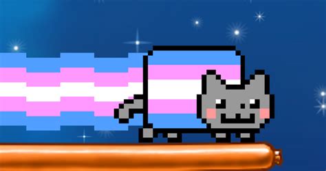 Estrogen Cat