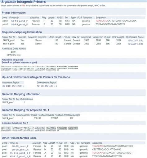 Screenshot Of Output Page From Microarray Primer Database Full Page Screenshot Of Output Page From Microarray Primer Database Full Page