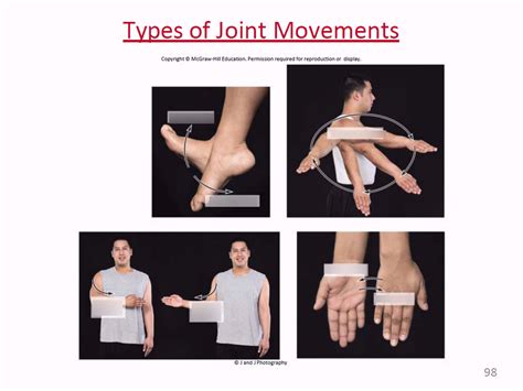 Types Of Joint Movements