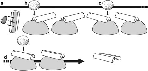 Sequence 2 Splitting A Blank From The First Sequence Into Two Parts By