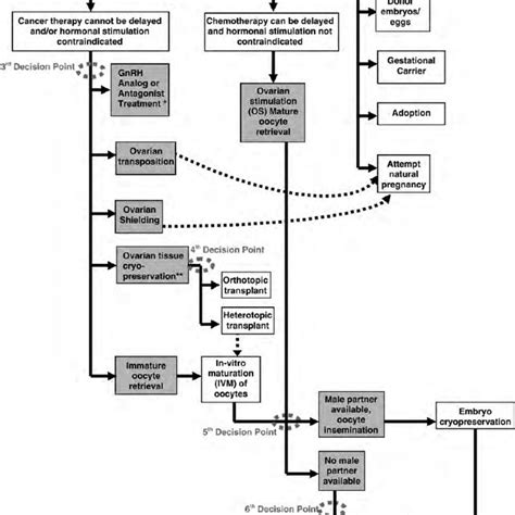 Decision Tree For Fertility Preservation In Female Patients With Cancer Download Scientific