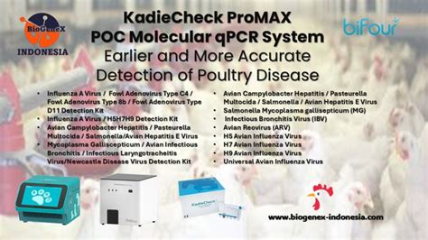 Kadiecheck Promax Poc Molecular Qpcr System Biogenex Indonesia